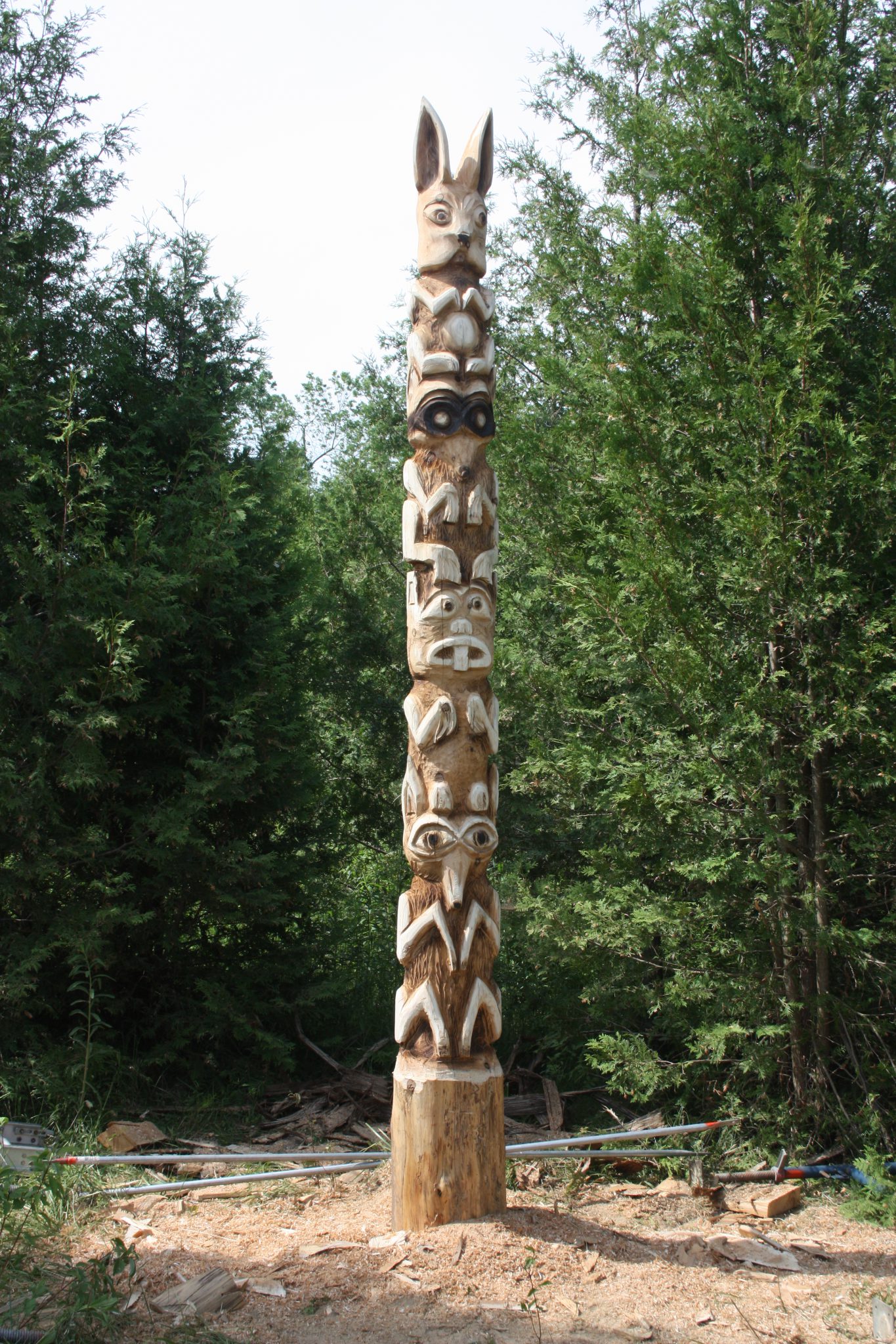 Gold Rush Trail Adventure Game